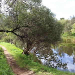 Geraldton Hikes and Trails | Australia's Coral Coast