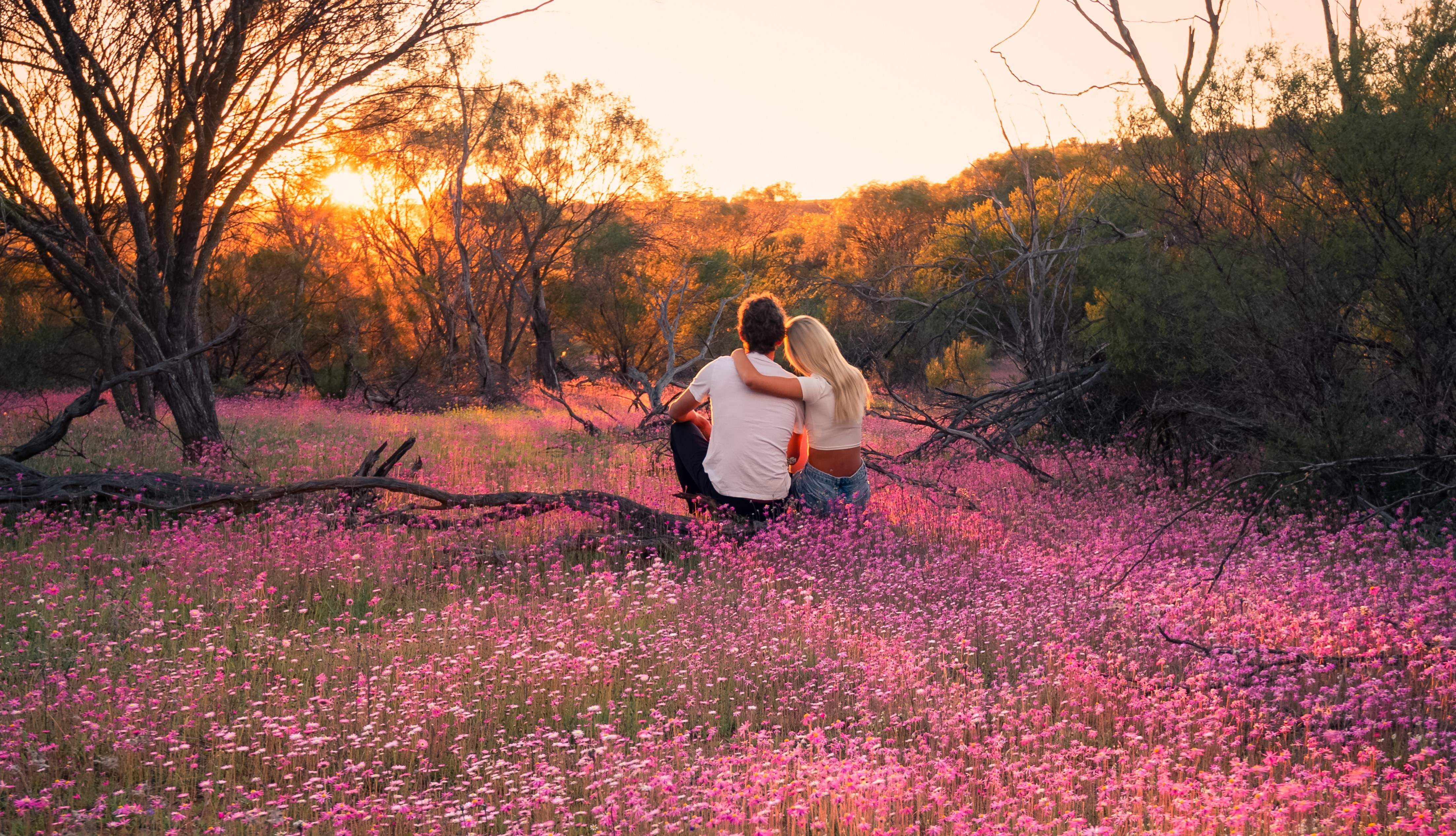 8 Wildflower Photography Tips Using Your Smartphone