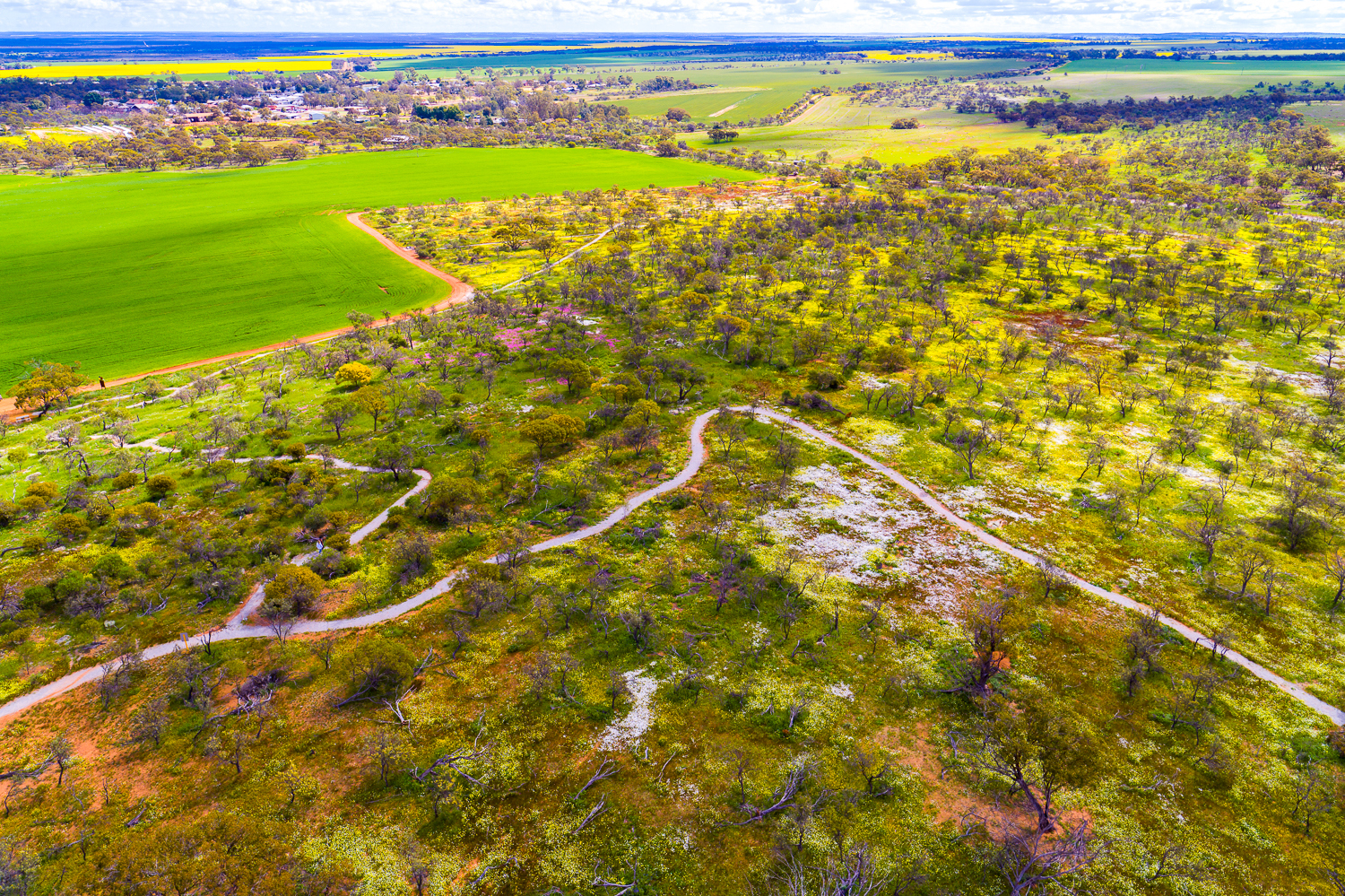 Coorow | Australia's Coral Coast