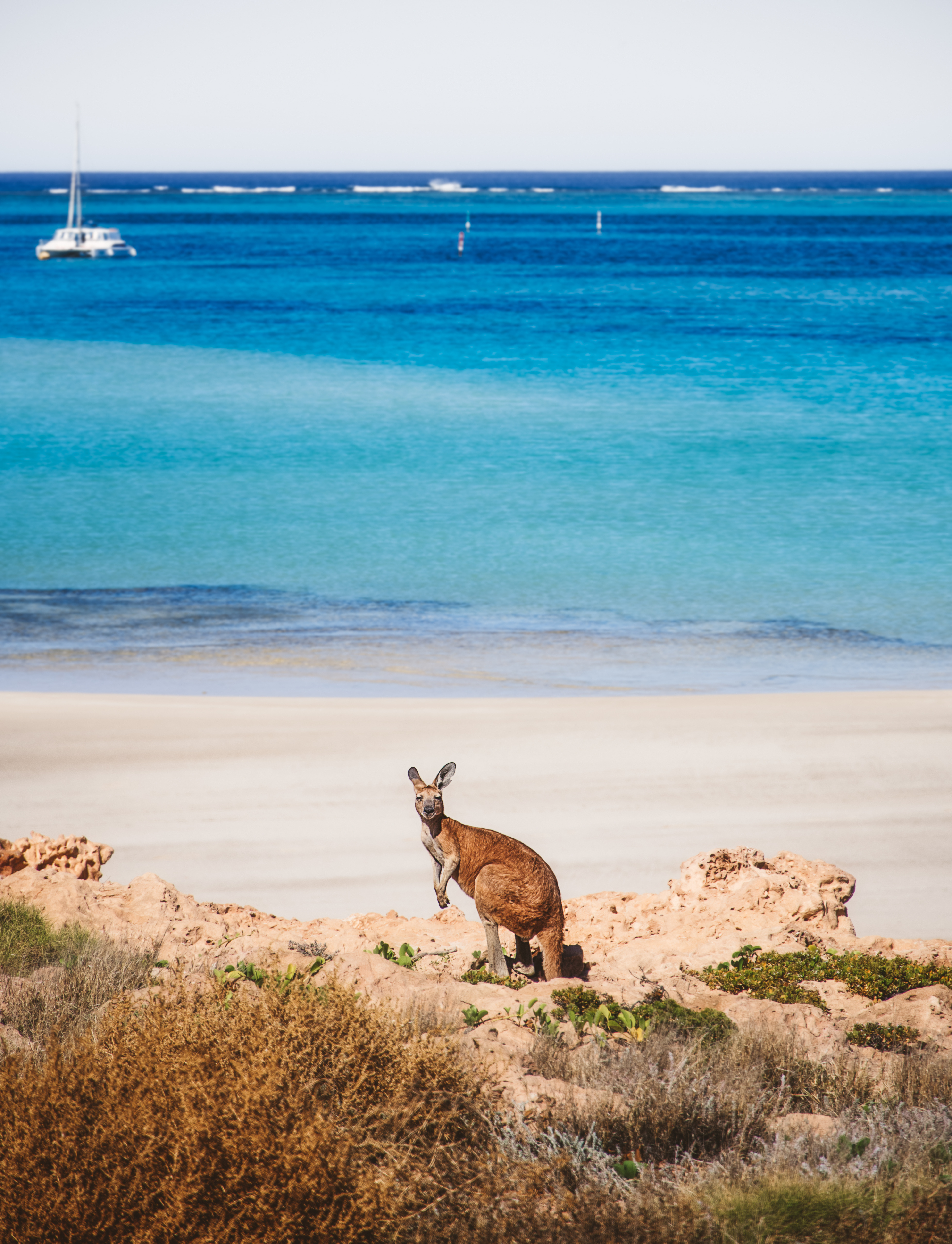 12 Things to do in Coral Bay - Must-do Experiences in 2025!