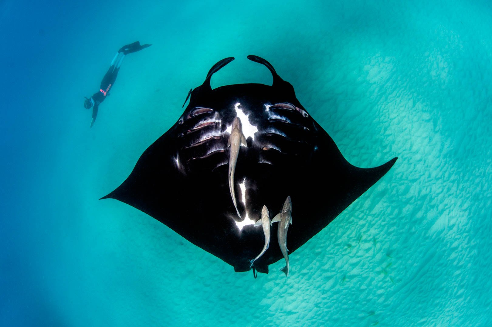 12 Things to do in Coral Bay - Must-do Experiences in 2025!