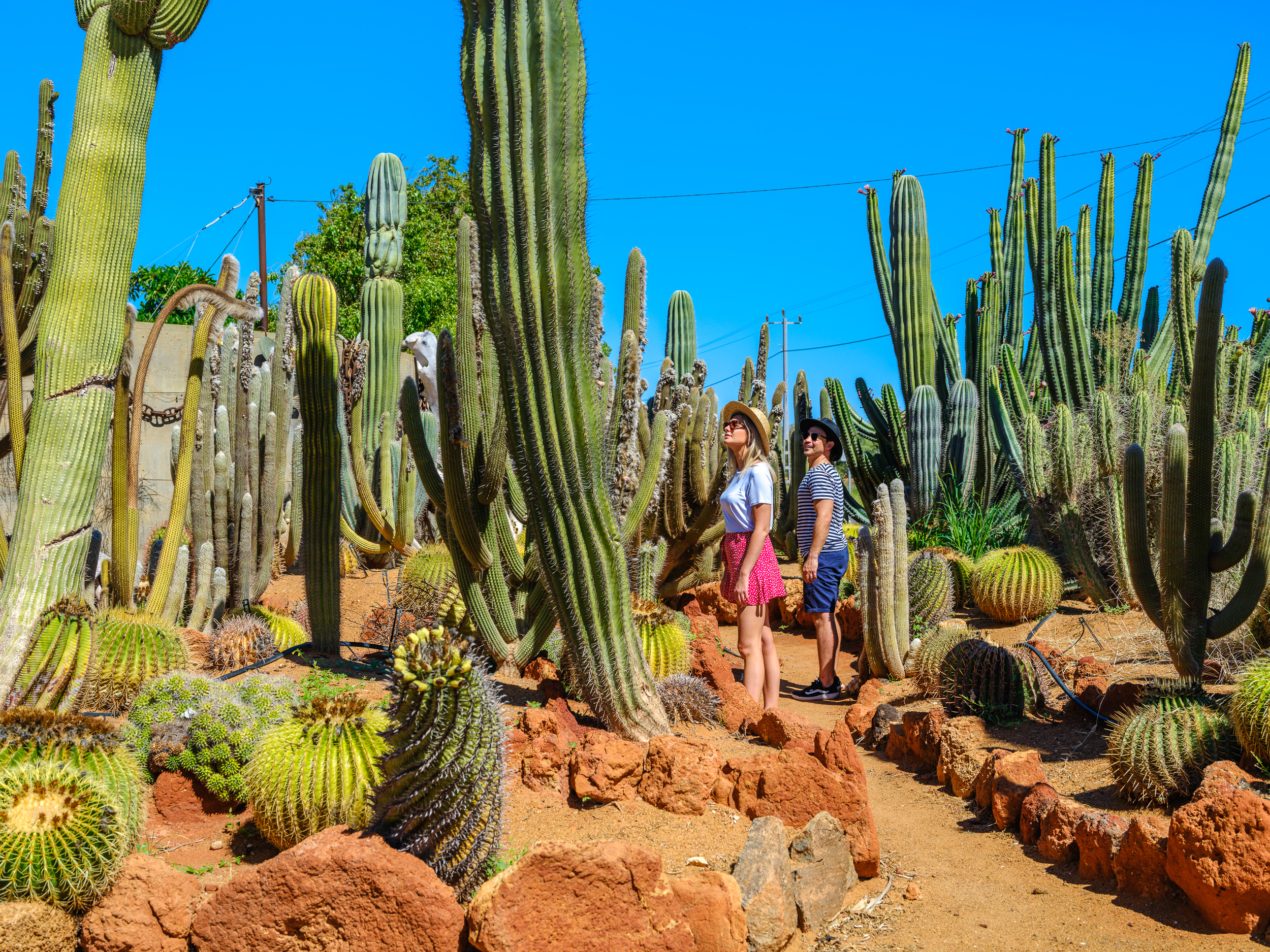 Coral Coast Road Trips & Itineraries // Start Planning Today!