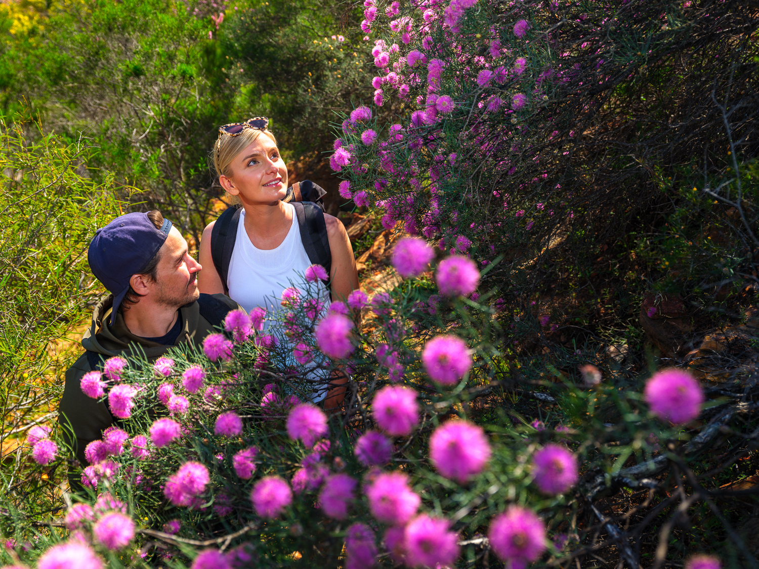 Wildflower Self-Drive Itineraries | Australia's Coral Coast
