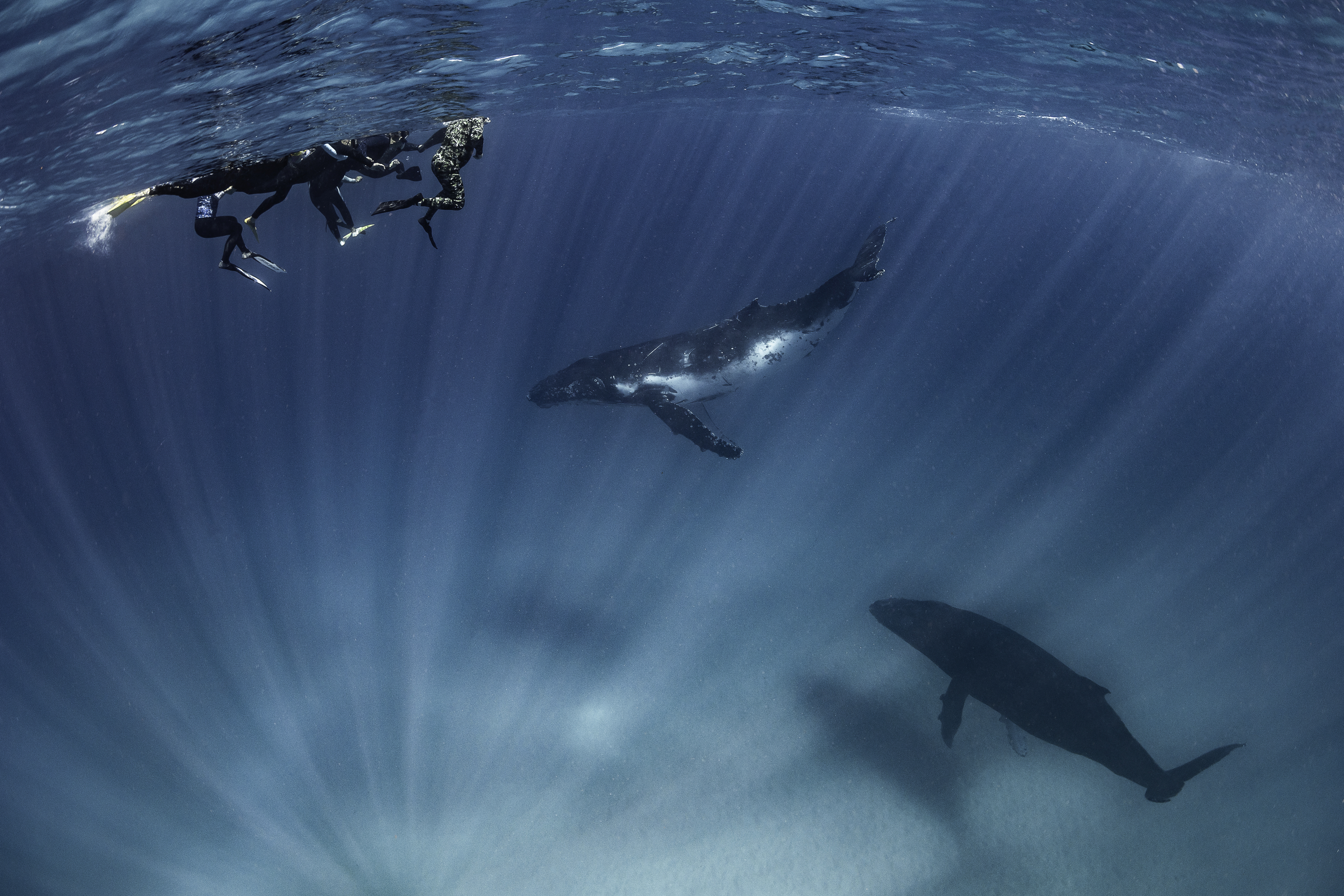 Ningaloo Reef: Your Guide to the Region | Australia's Coral Coast