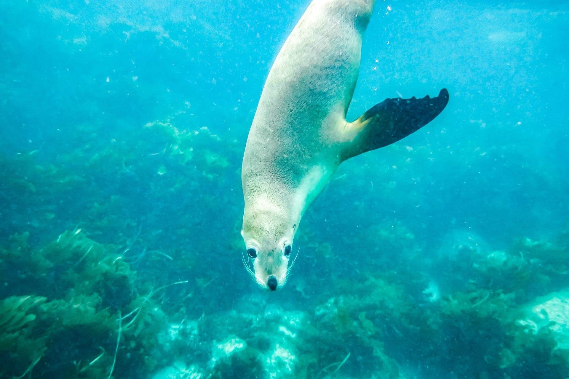 14 places to stop on a Coral Coast Highway… | Australia's Coral Coast