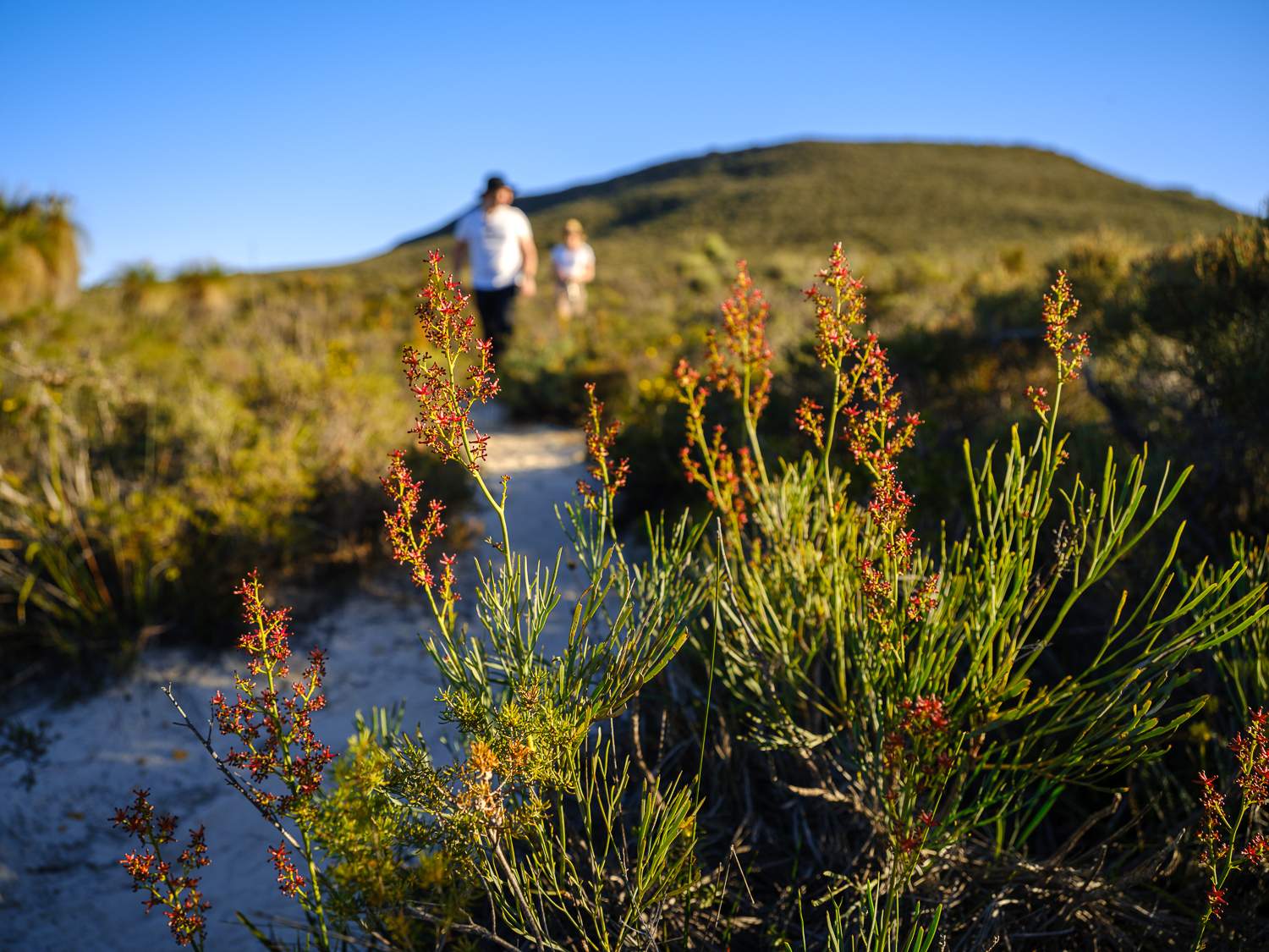Indian Ocean Drive Hikes and Trails | Australia's Coral Coast
