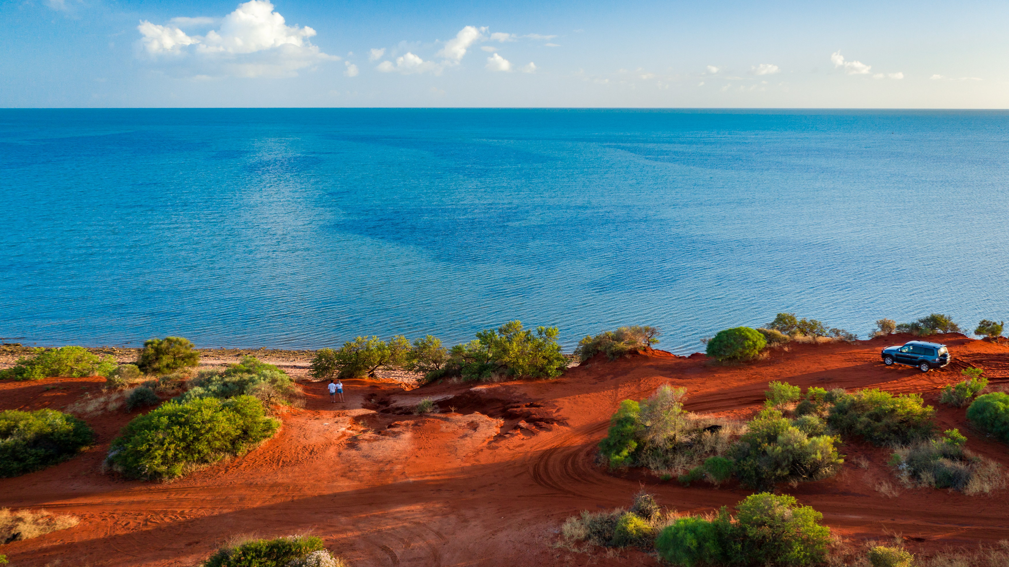 Monkey Mia - Things to do, Tours, Accommodation & More!