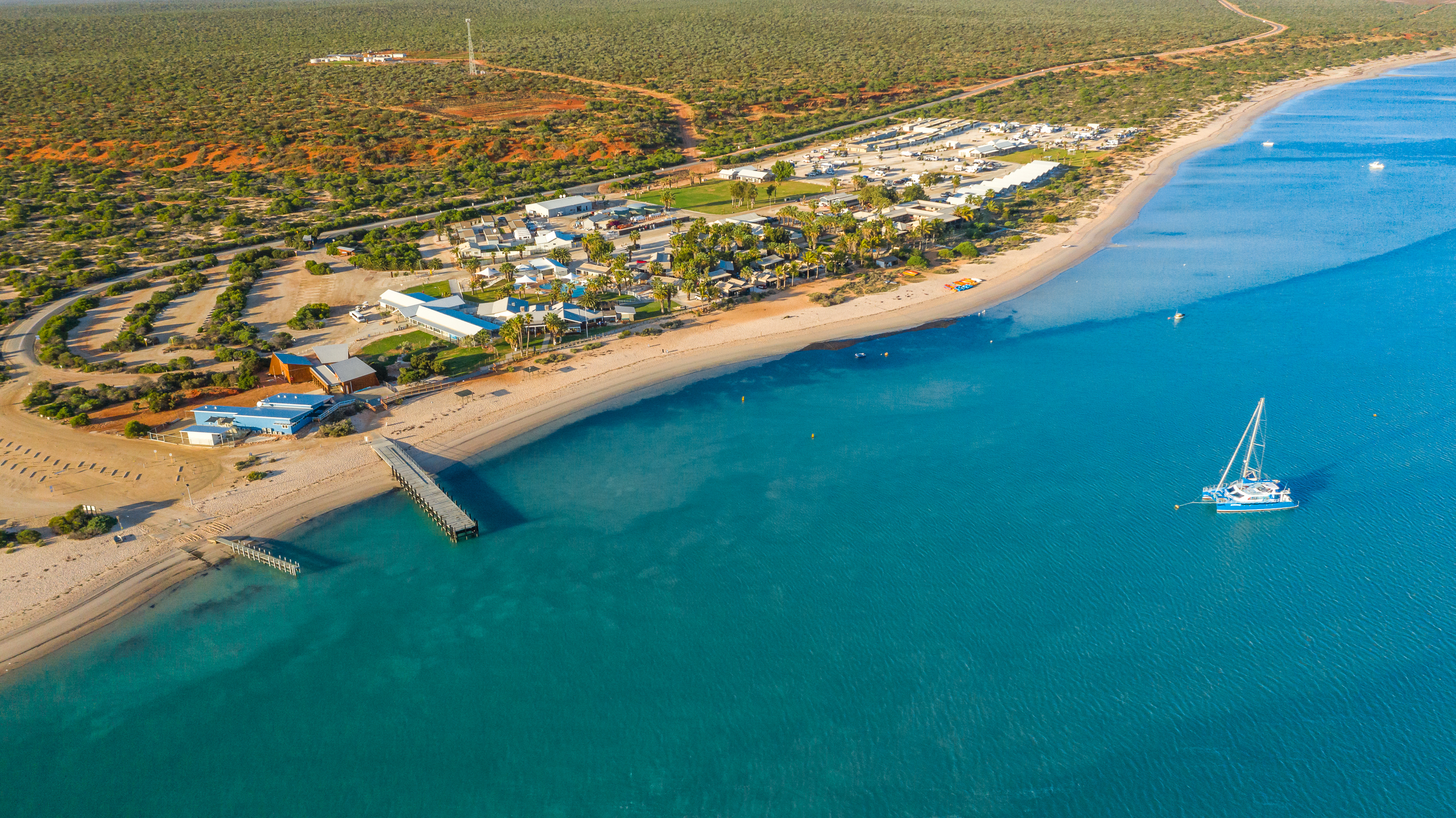 Monkey Mia - Things to do, Tours, Accommodation & More!