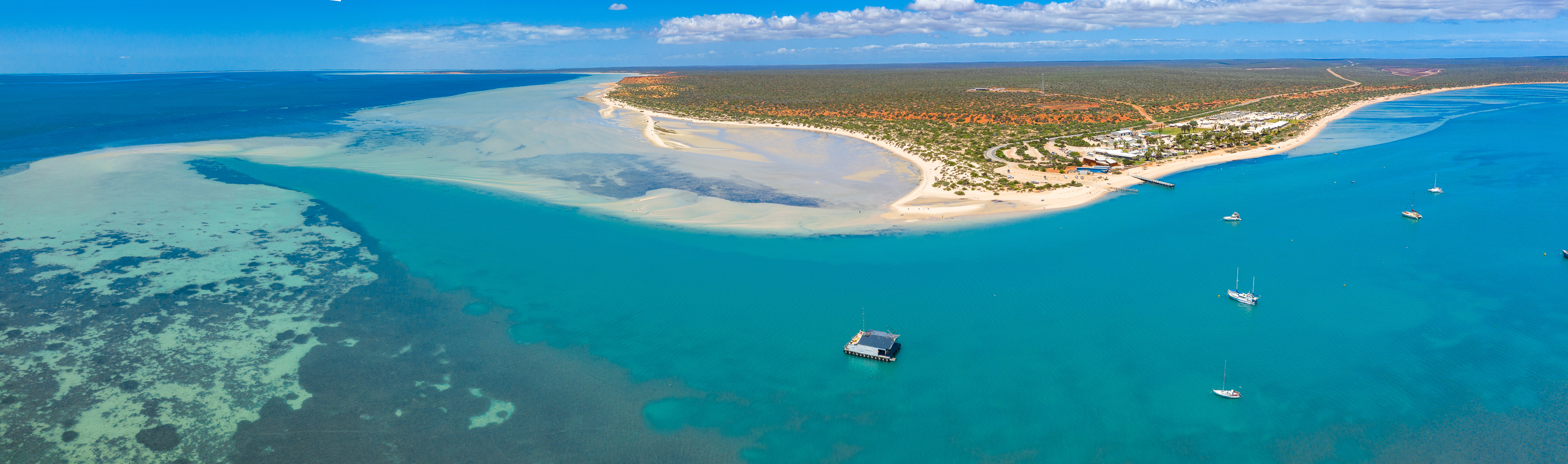 Monkey Mia - Things to do, Tours, Accommodation & More!