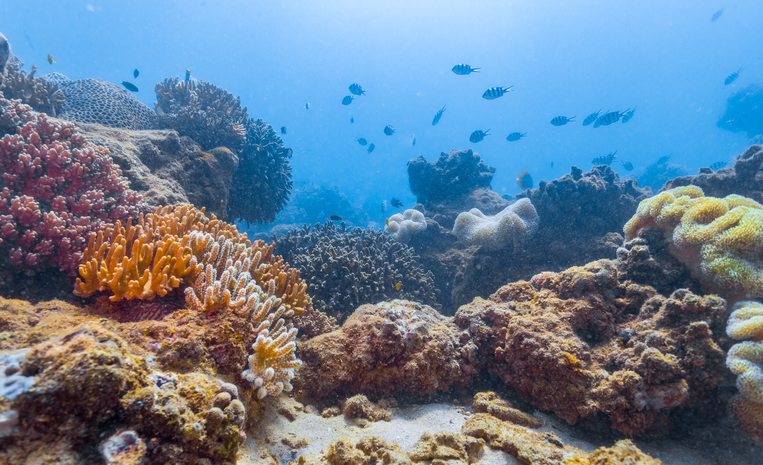 Muiron Islands | Australia's Coral Coast