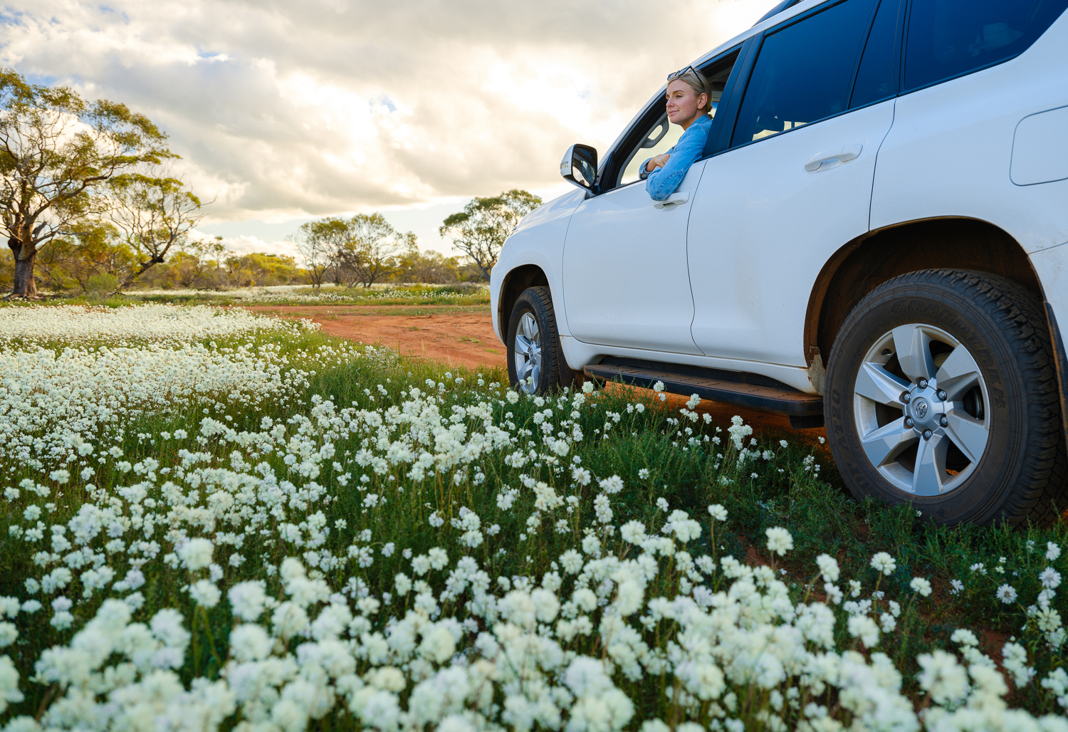 Wildflower Self-Drive Itineraries | Australia's Coral Coast