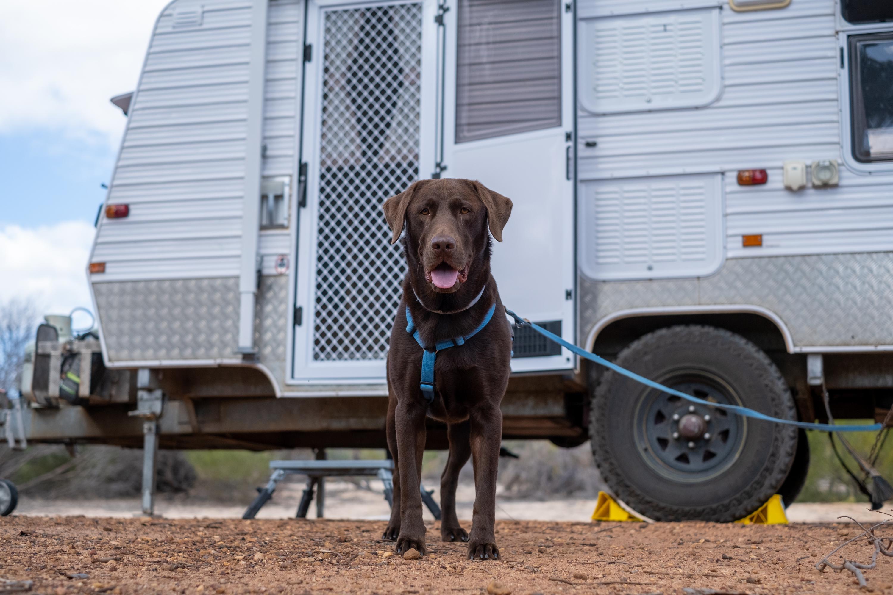 Indian Ocean Drive | Australia's Coral Coast
