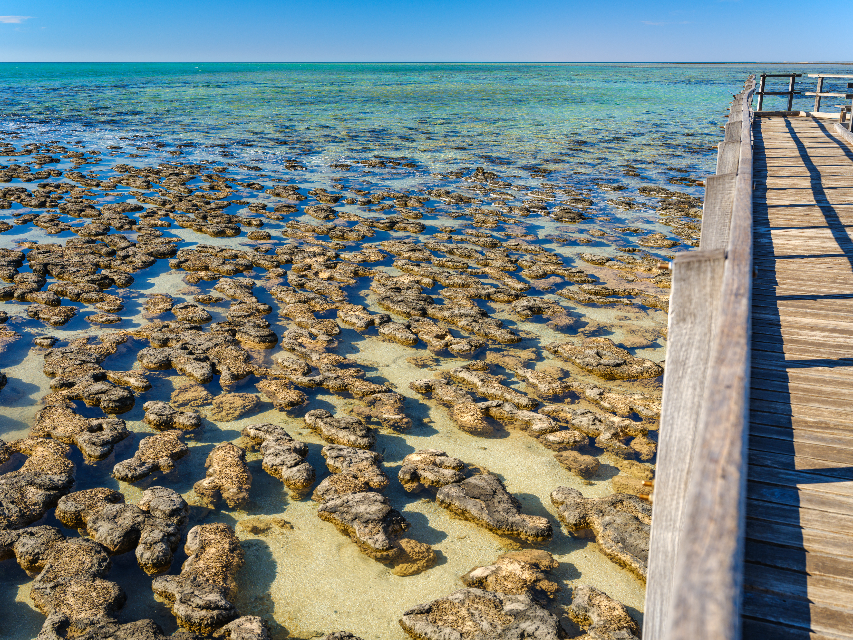 Top Things to Do in Shark Bay | Australia's Coral Coast