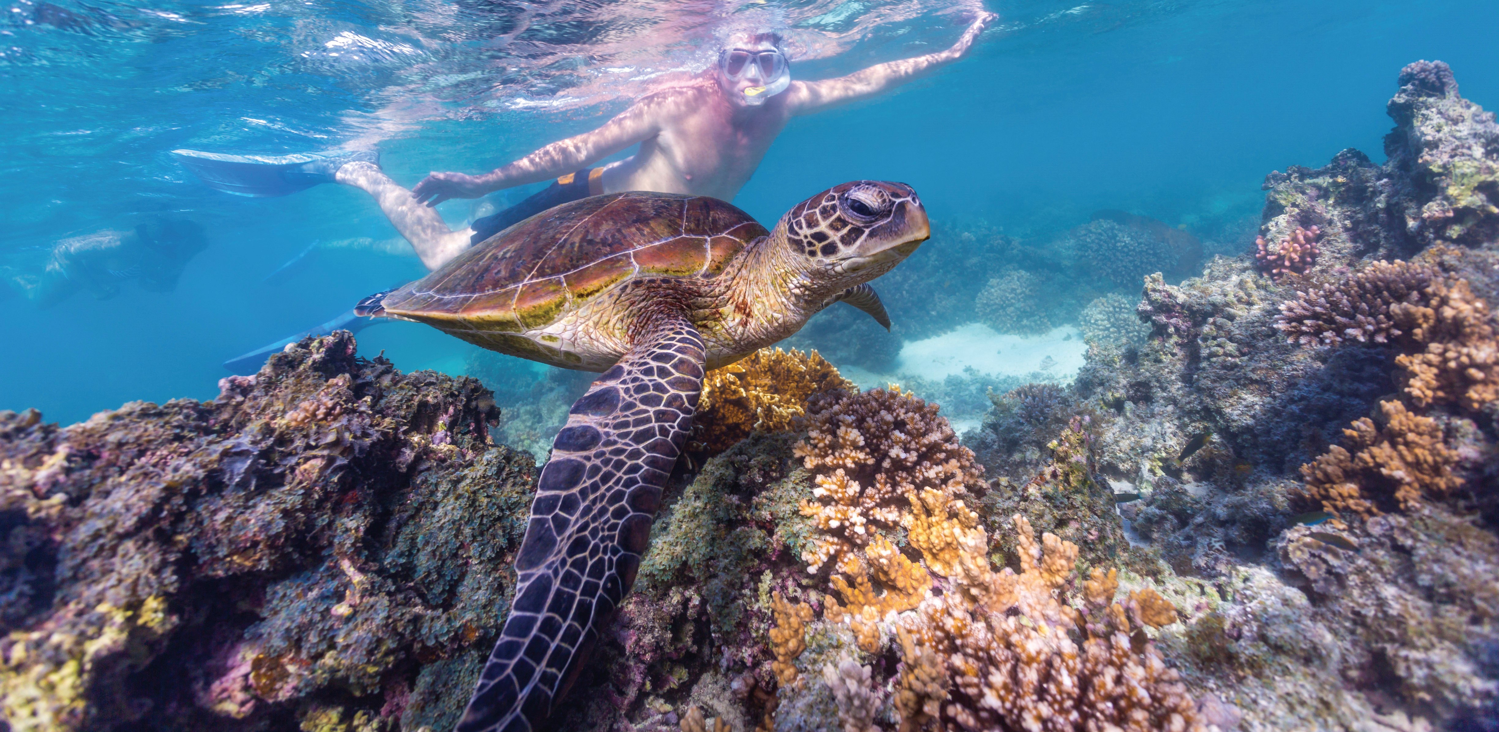 12 Things to do in Coral Bay - Must-do Experiences in 2026!