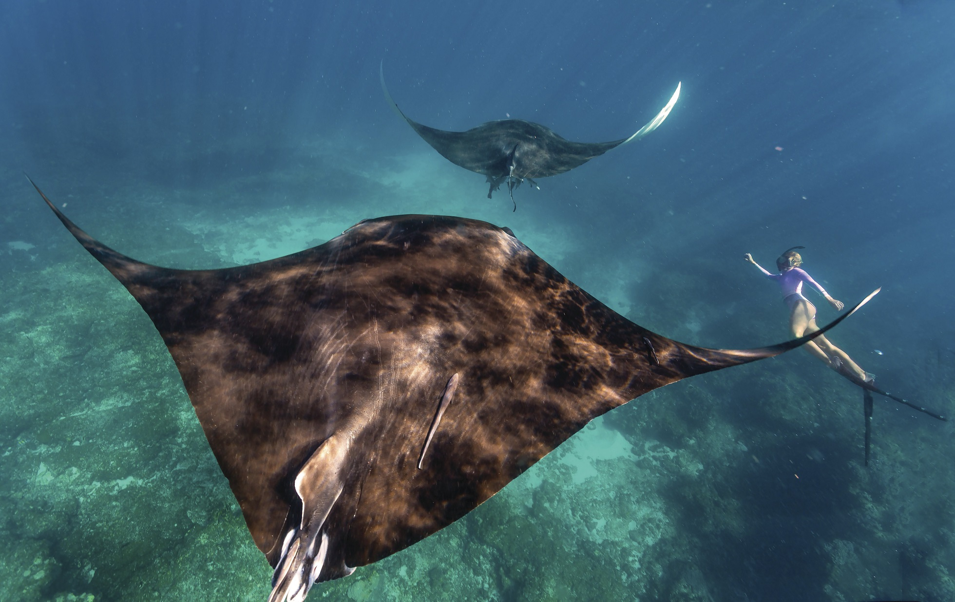 Coral Coast Surfing: Exmouth, Kalbarri, Coral Bay & More!