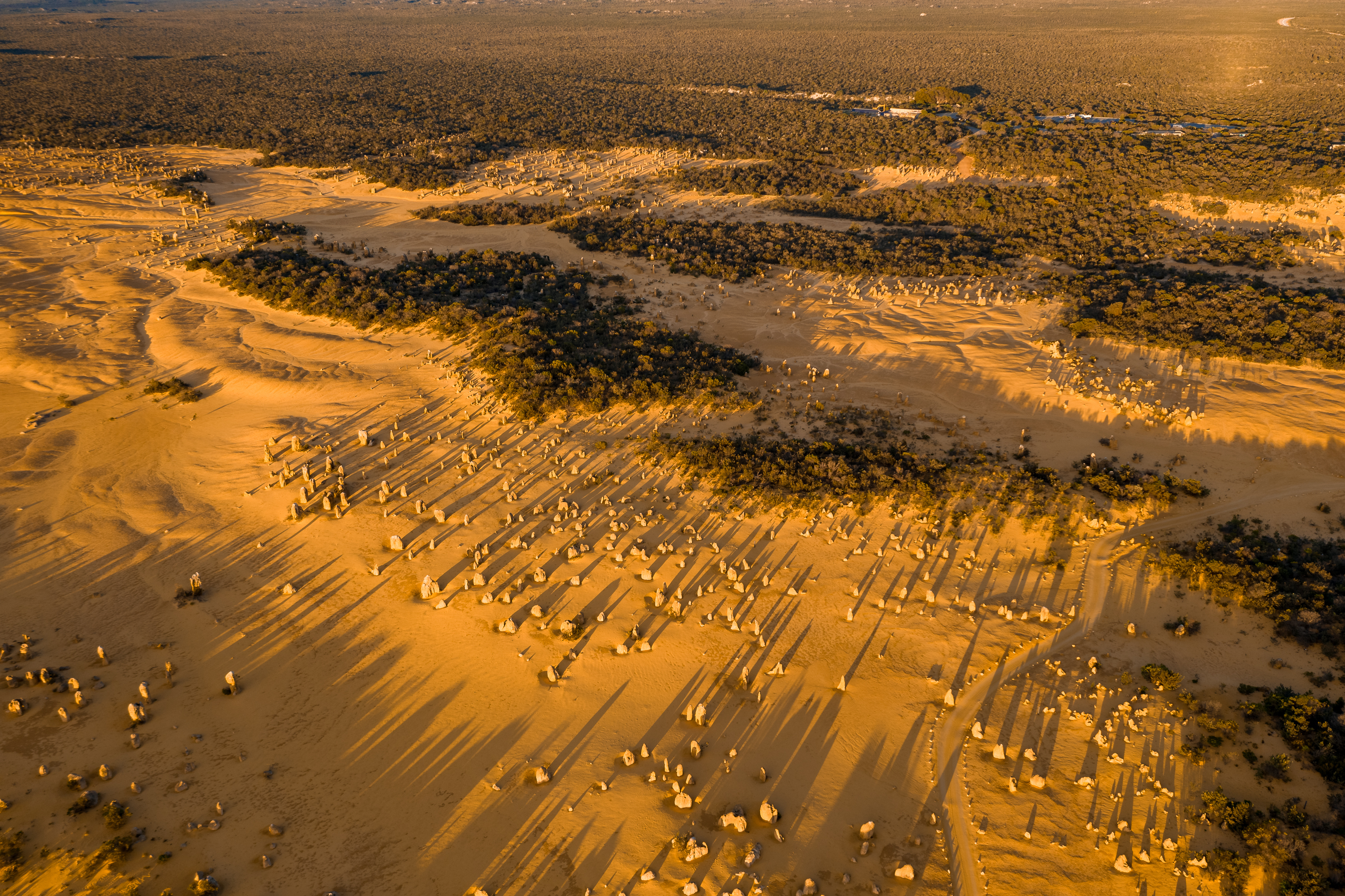 Pinnacles WA: Nambung National Park | Australia's Coral Coast