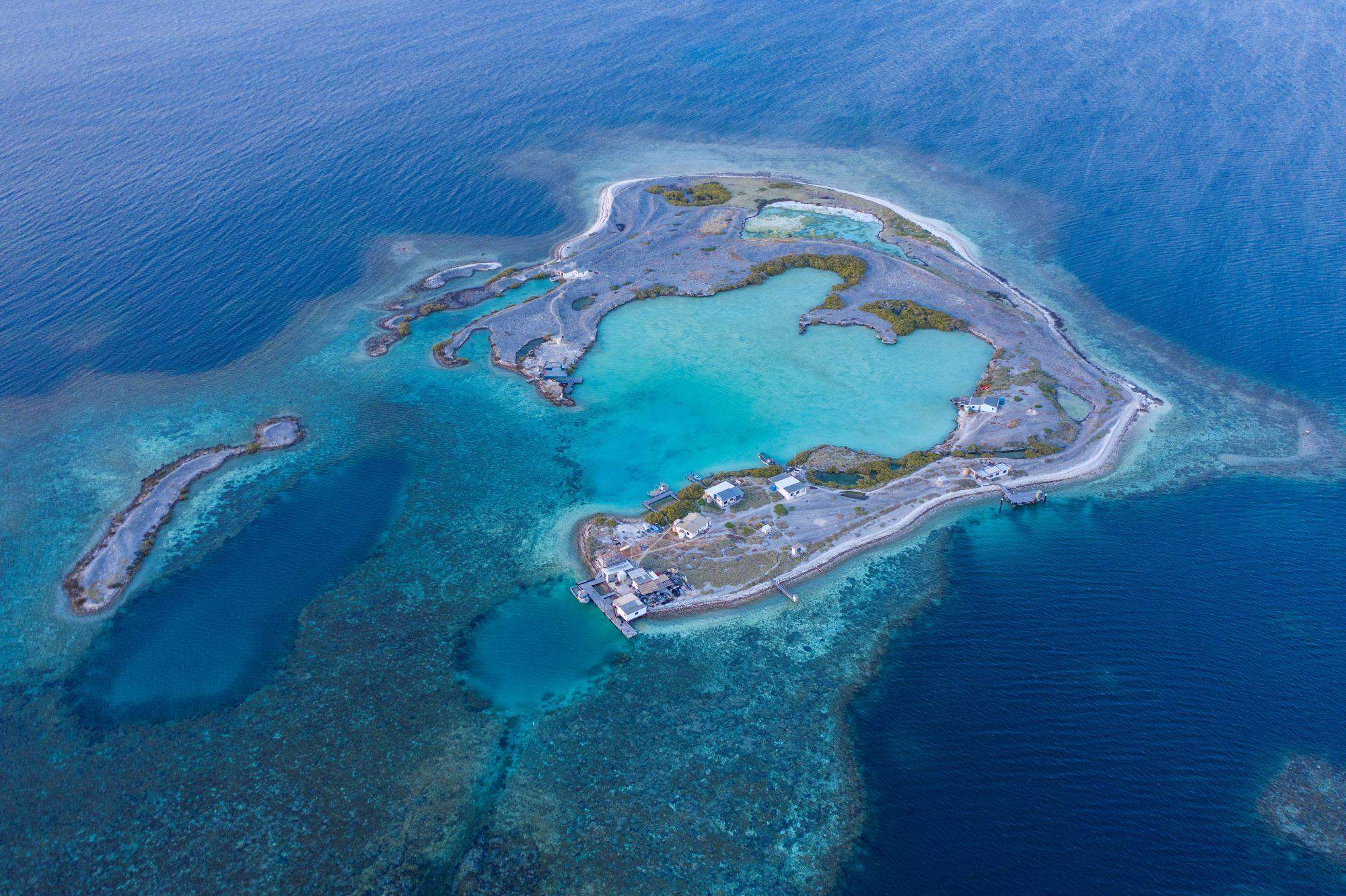 Abrolhos Islands: Tours & Things to Do | Australia's Coral Coast