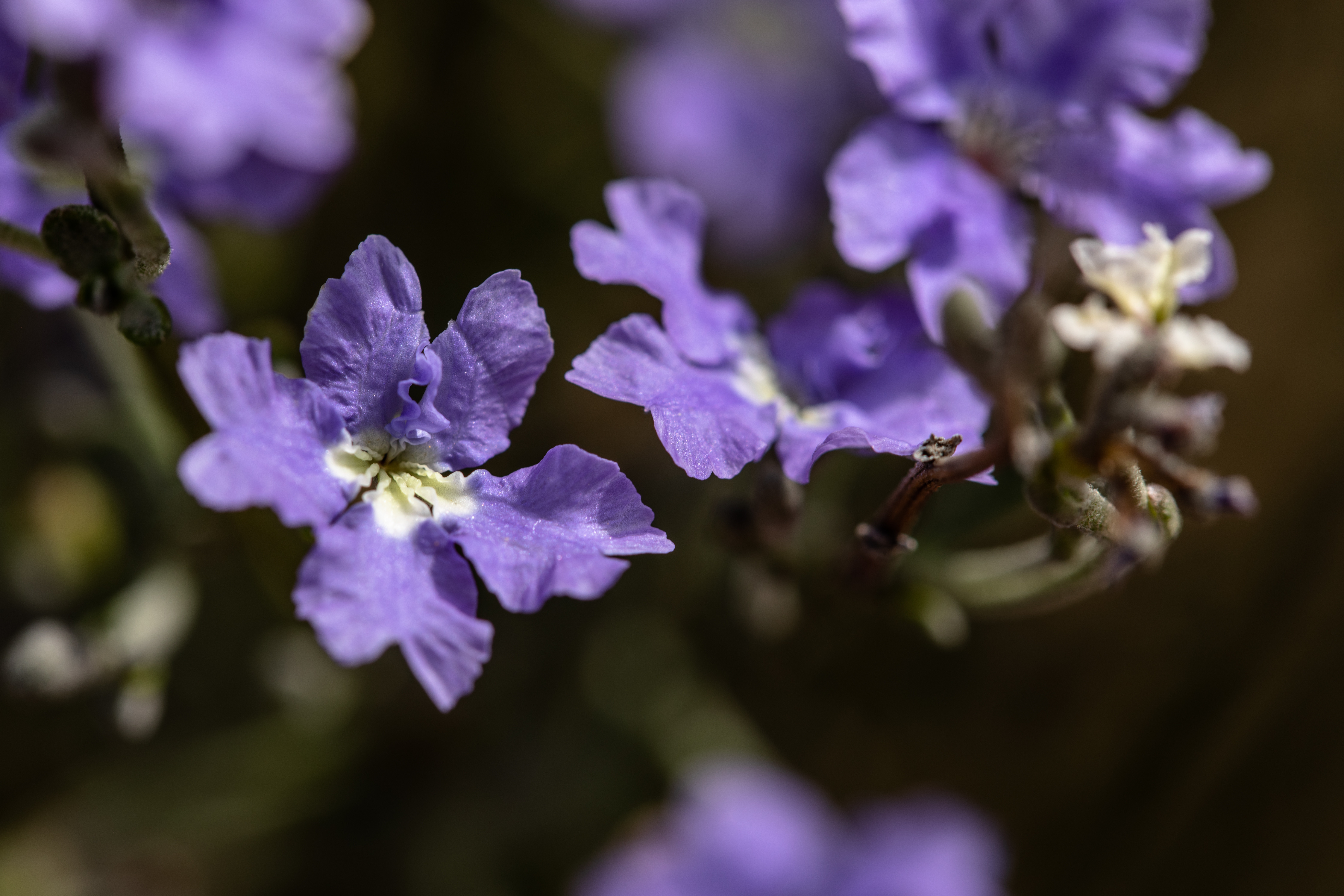 Learmonth Airport | Australia's Coral Coast