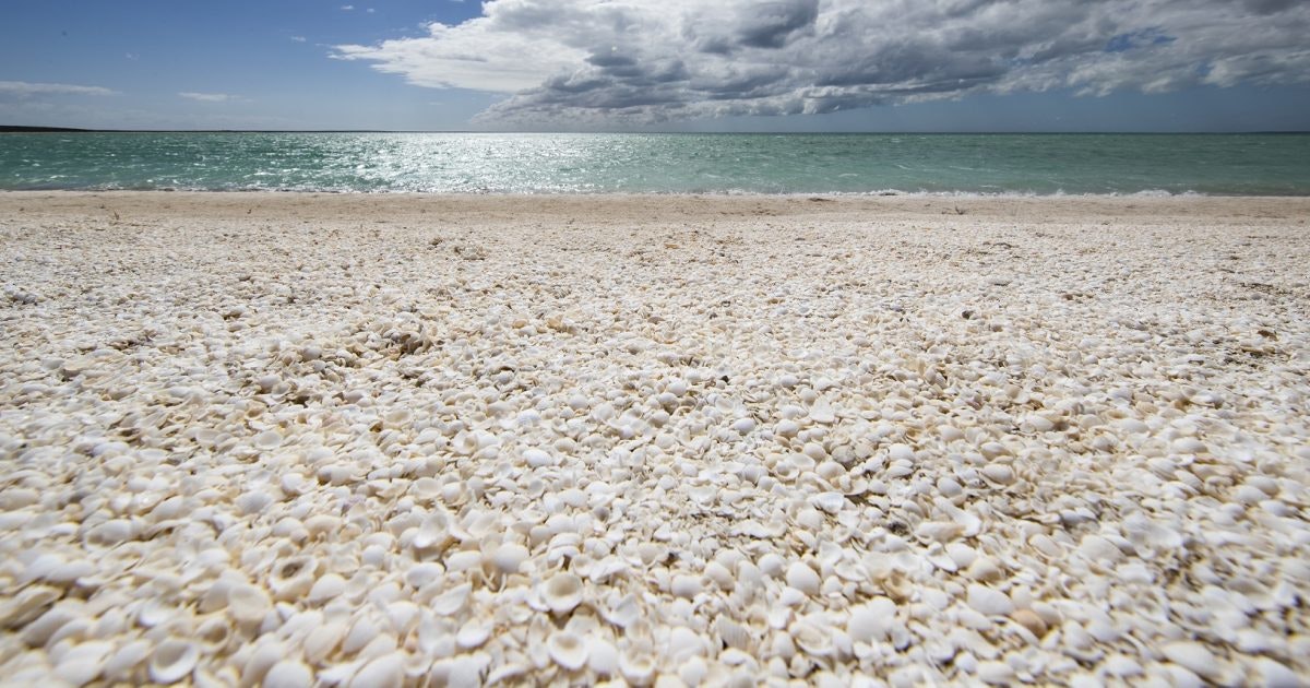 Shell Beach | Australia's Coral Coast | Australia's Coral Coast