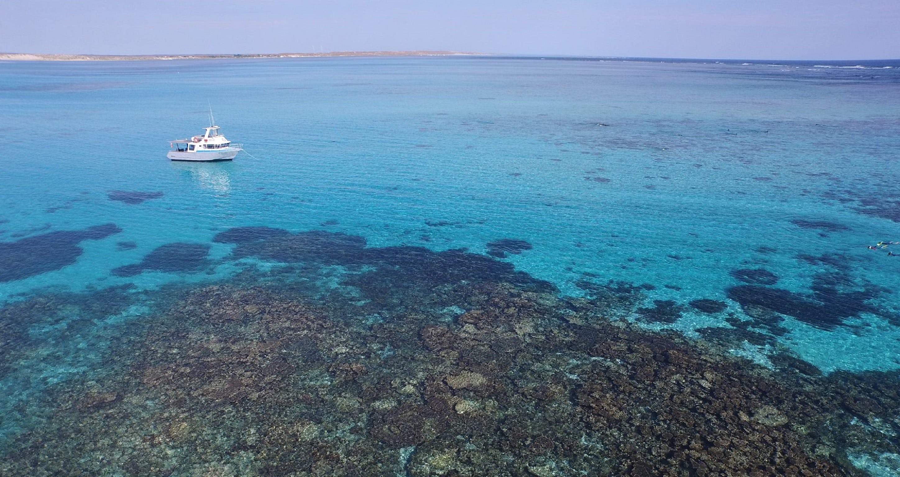 Coral Bay WA - A Marine Paradise | Australia's Coral Coast