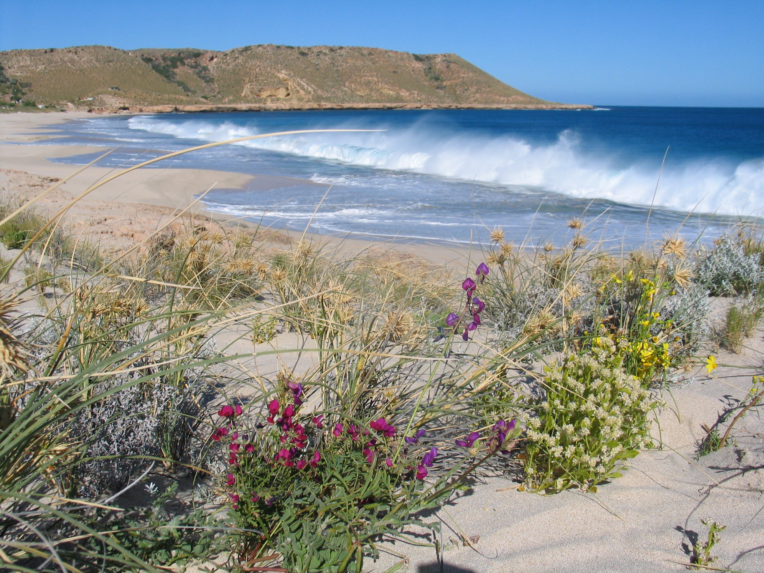 Things to do in Carnarvon ☀ | Australia's Coral Coast