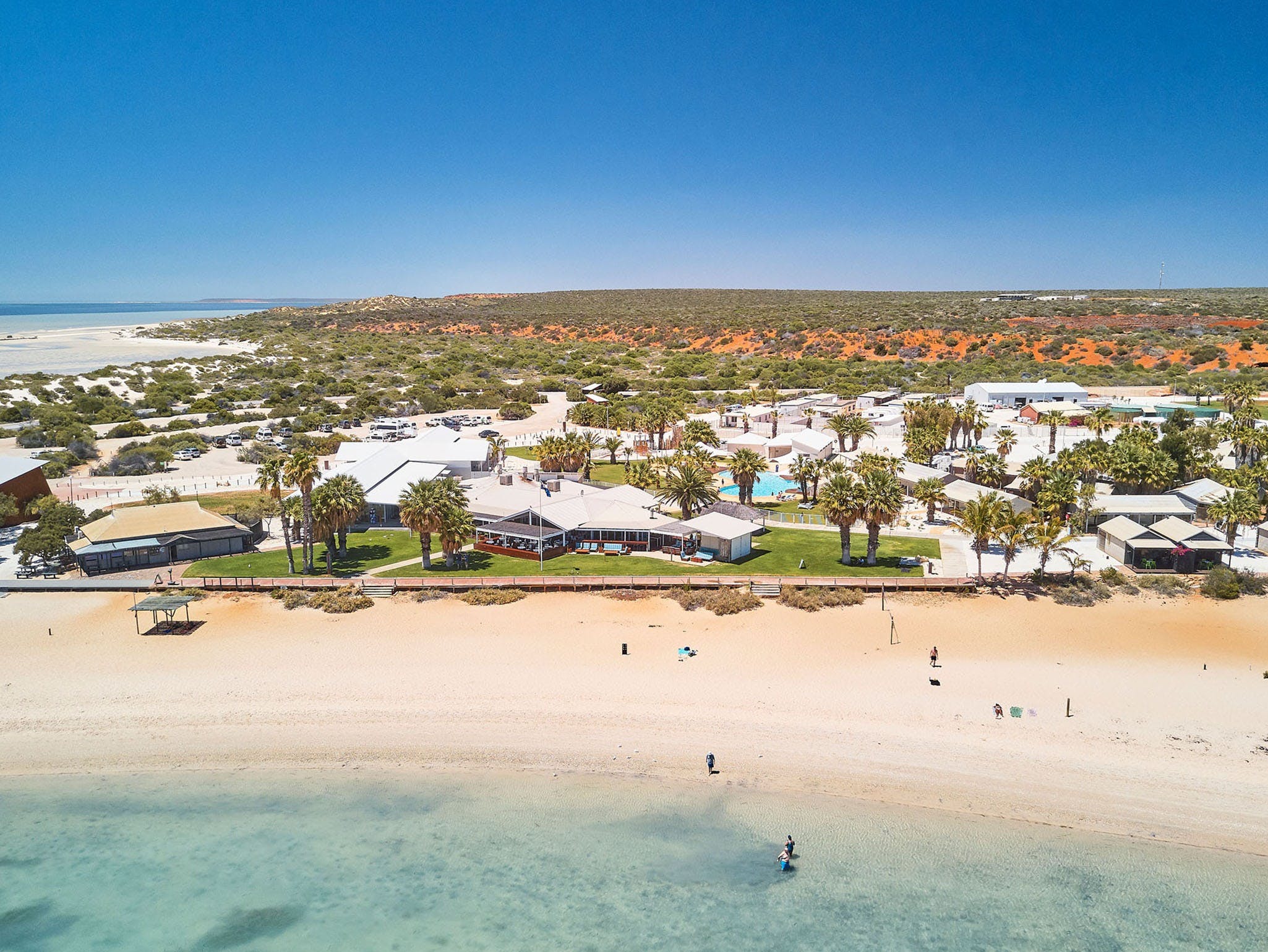 Monkey Mia - Things to do, Tours, Accommodation & More!