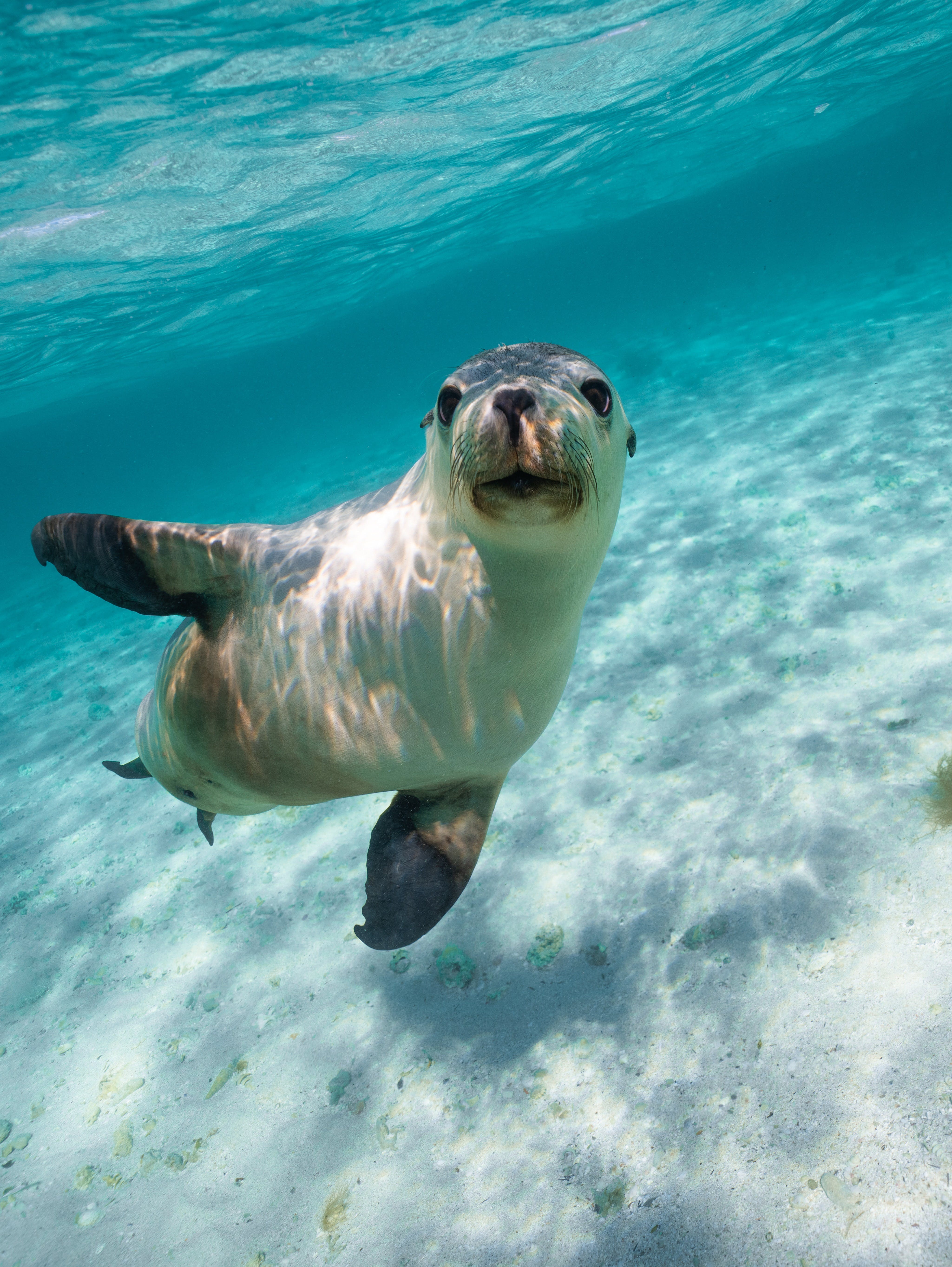 Indian Ocean Drive | Australia's Coral Coast