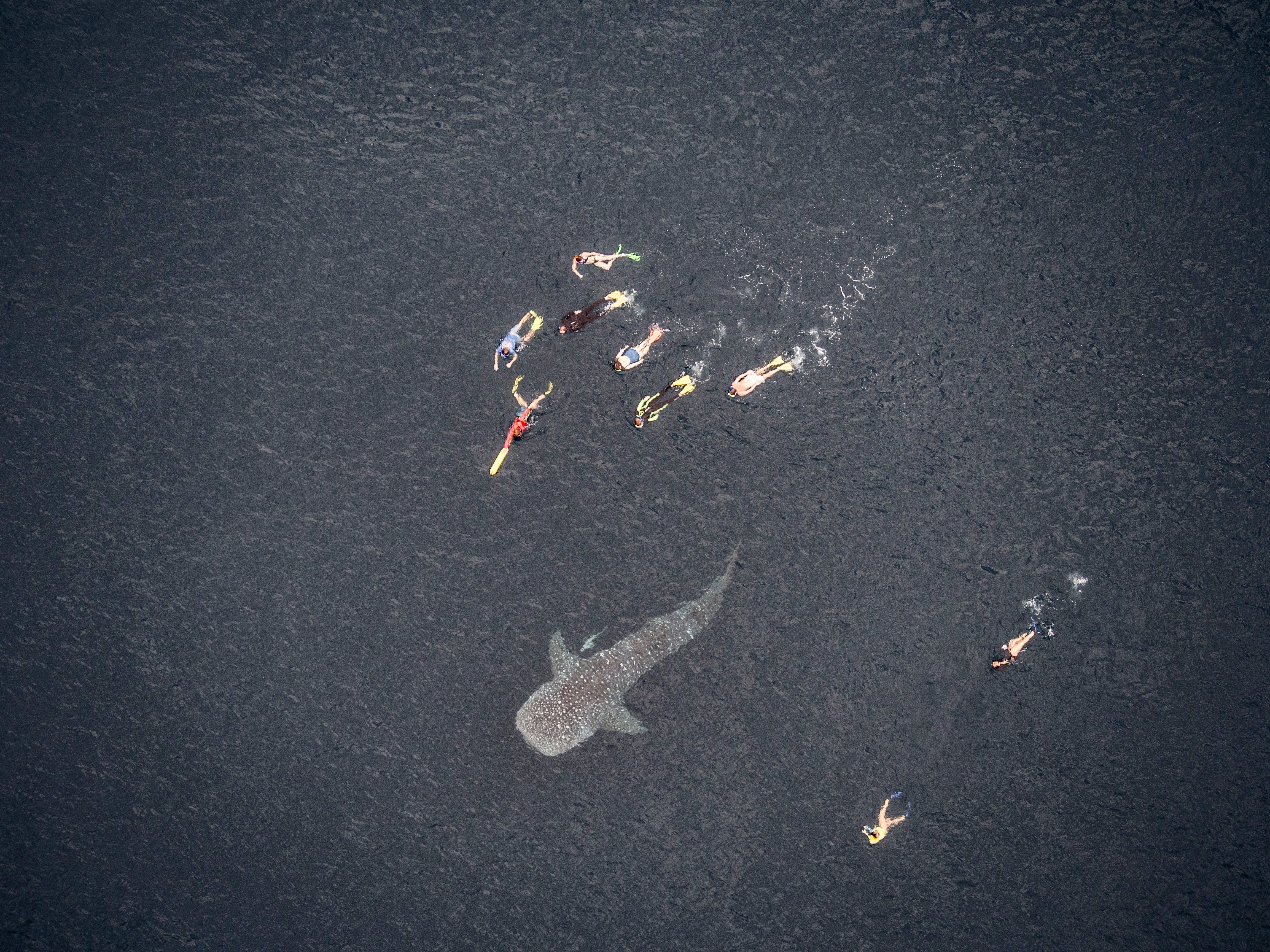 Ocean Eco Adventures | Australia's Coral Coast