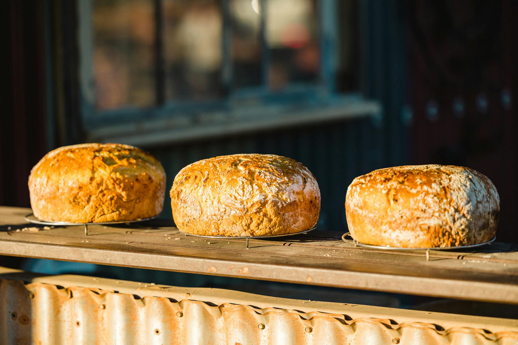 Bullara Station Stay | Australia's Coral Coast