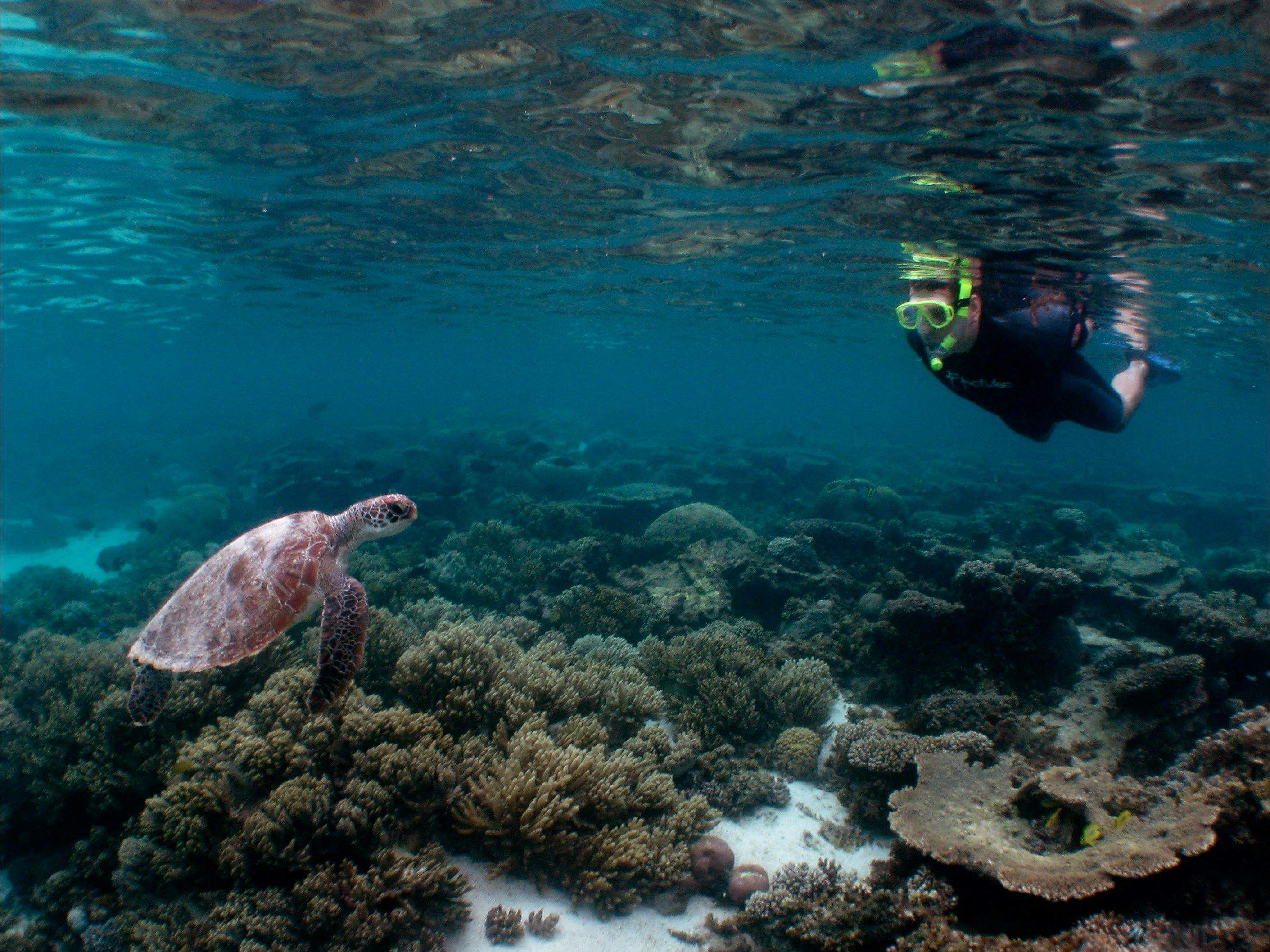 8 Night Ultimate Ningaloo Tour Package | Australia's Coral Coast