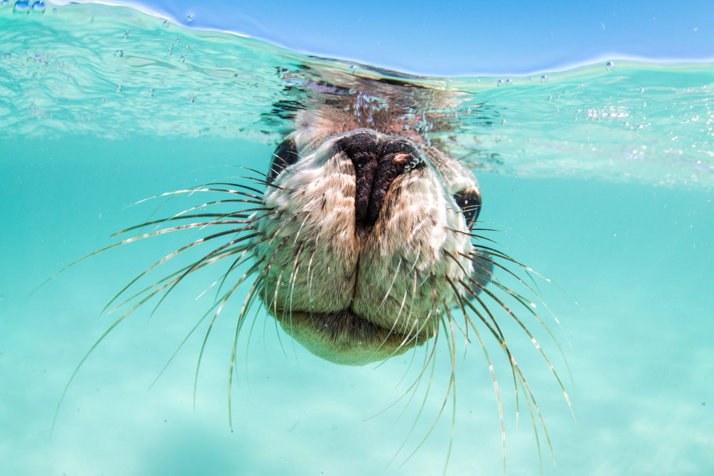 Indian Ocean Drive | Australia's Coral Coast