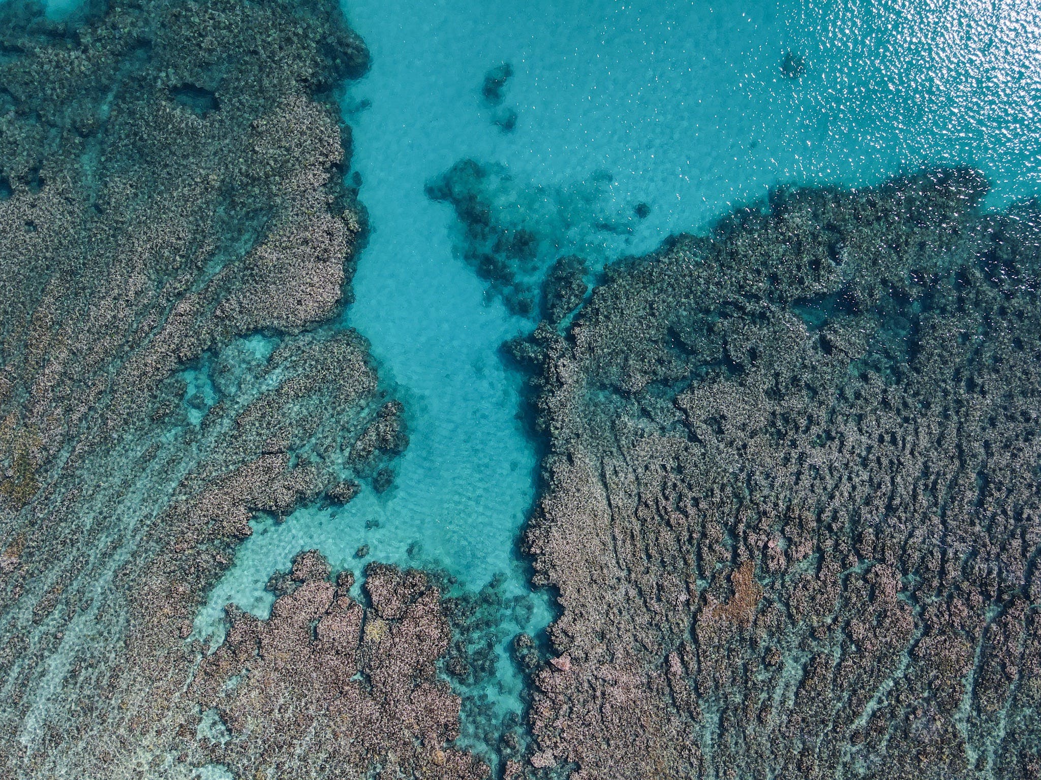 Ocean Eco Adventures | Australia's Coral Coast