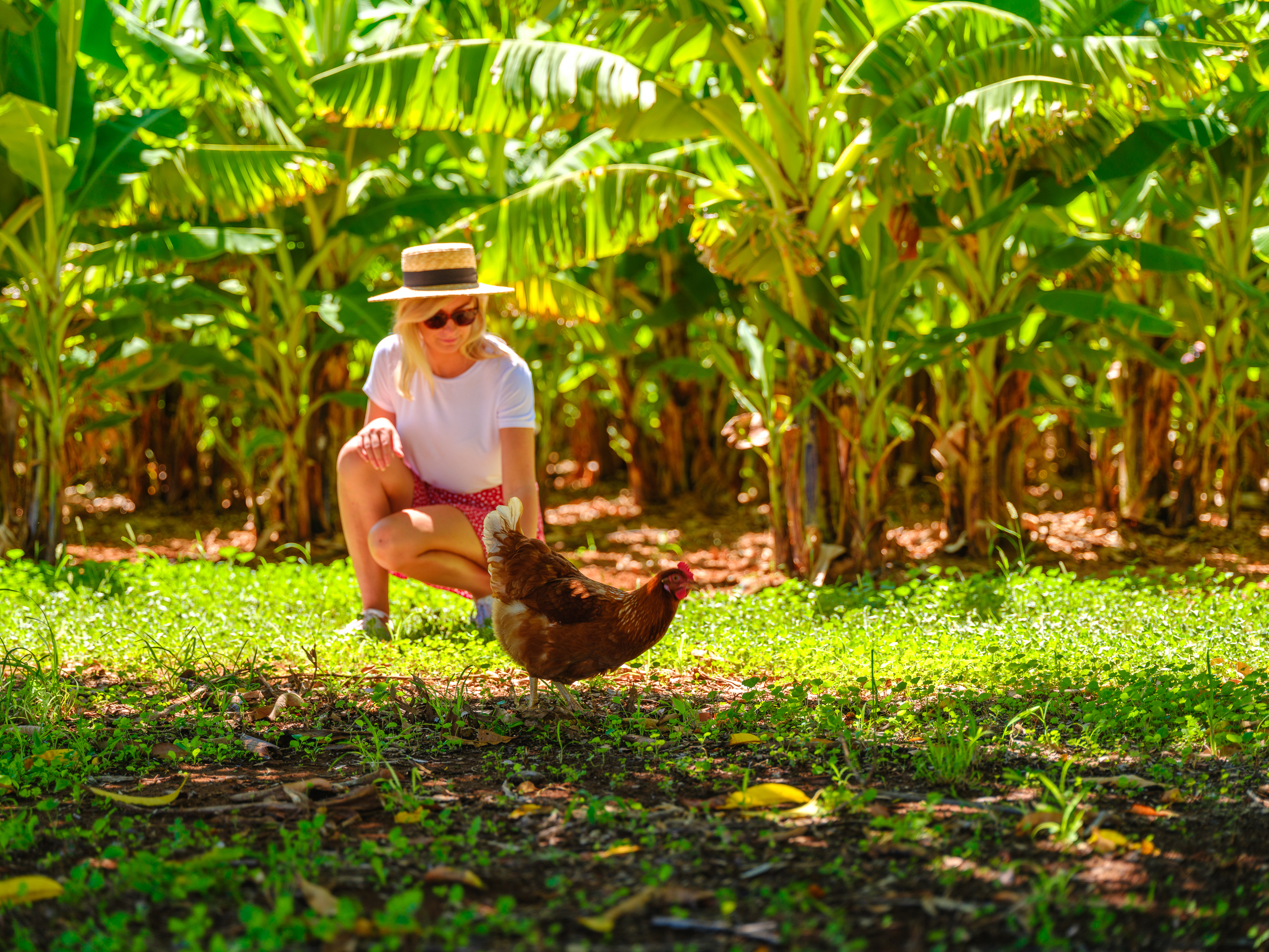 The Coral Coast Highway | Australia's Coral Coast