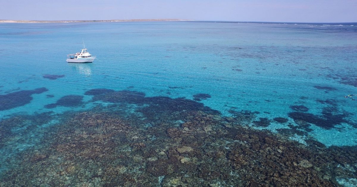 Ningaloo Marine Interactions | Australia's Coral Coast