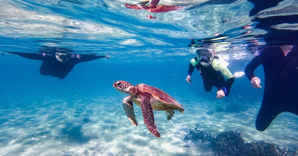 'Coral Explorer' Tour | Australia's Coral Coast