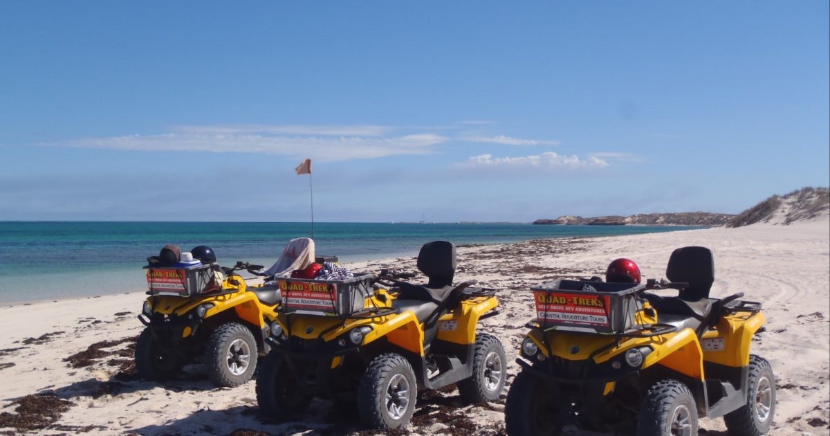 Turtle Adventure Trek | Australia's Coral Coast