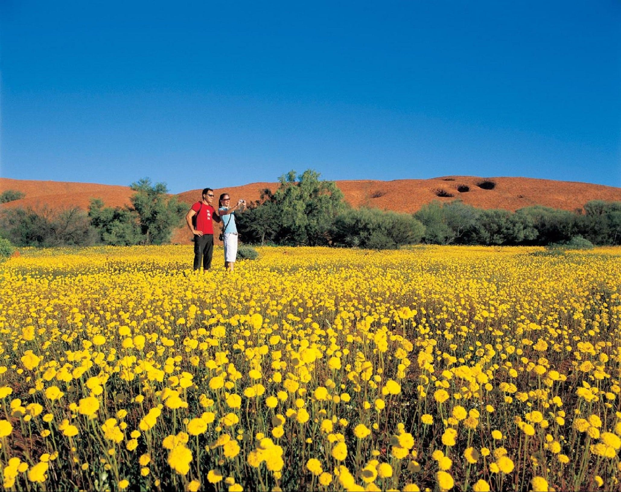 Coorow Farm Wildflower Trail | Australia's Coral Coast
