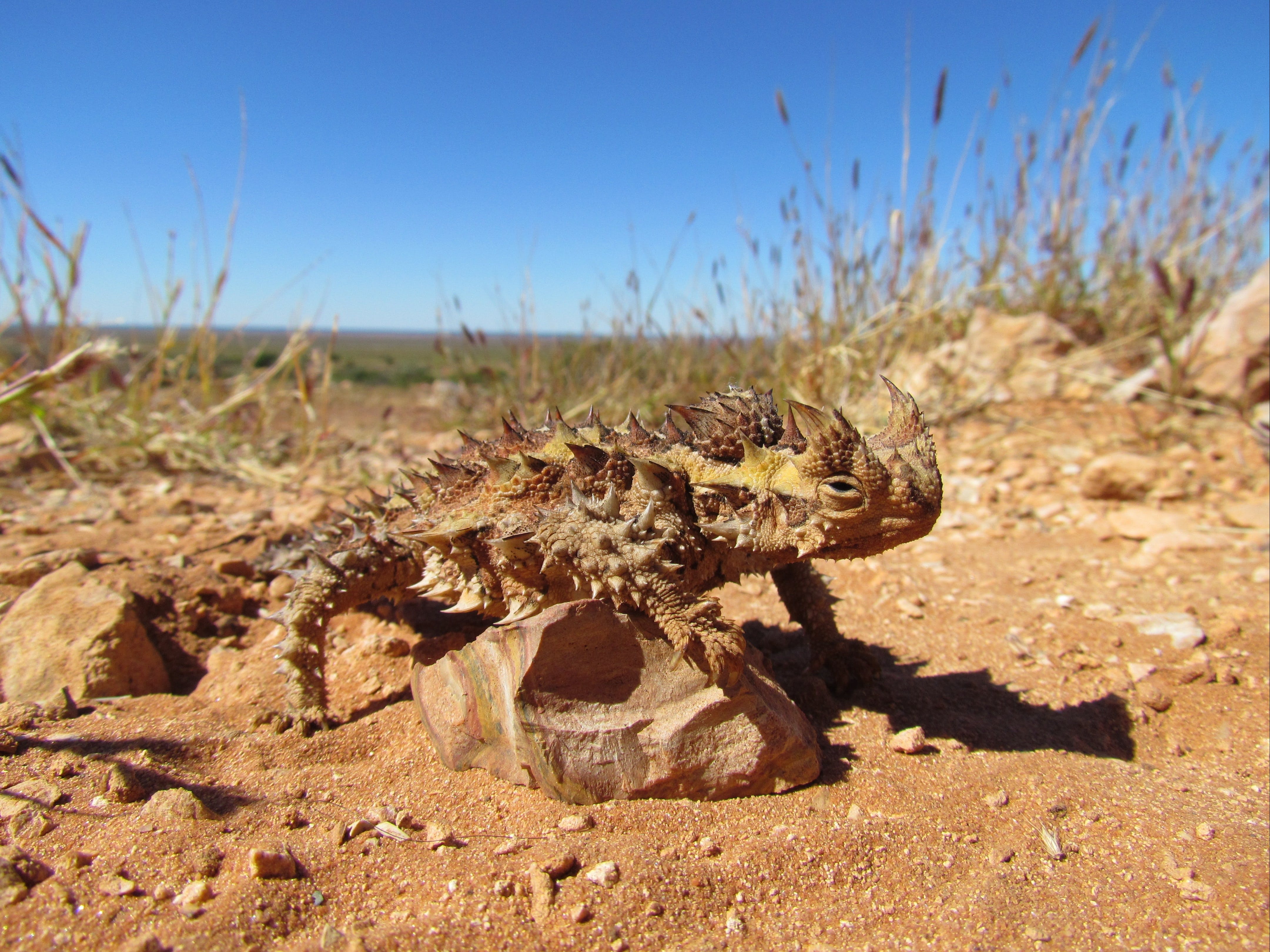 Bullara Station Stay | Australia's Coral Coast