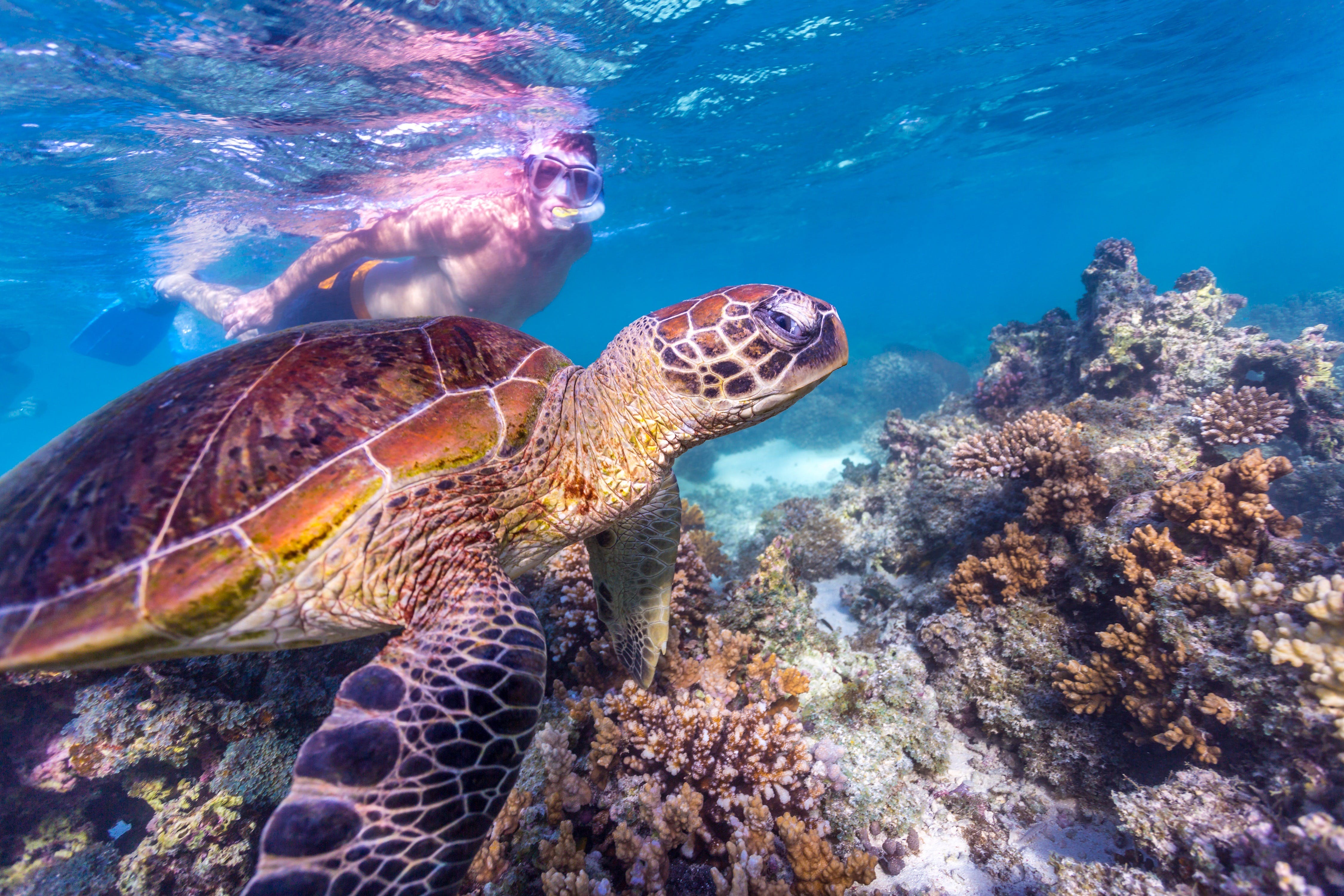 Autopia Tours - Western Australia | Australia's Coral Coast