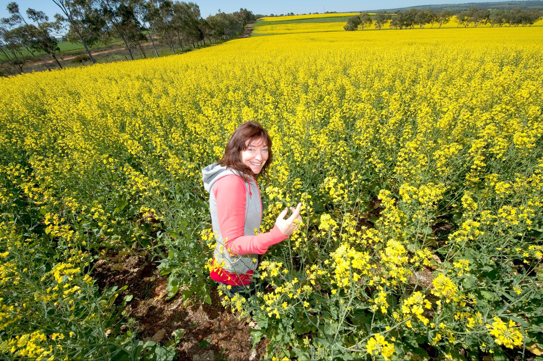 Badgingarra National Park | Australia's Coral Coast