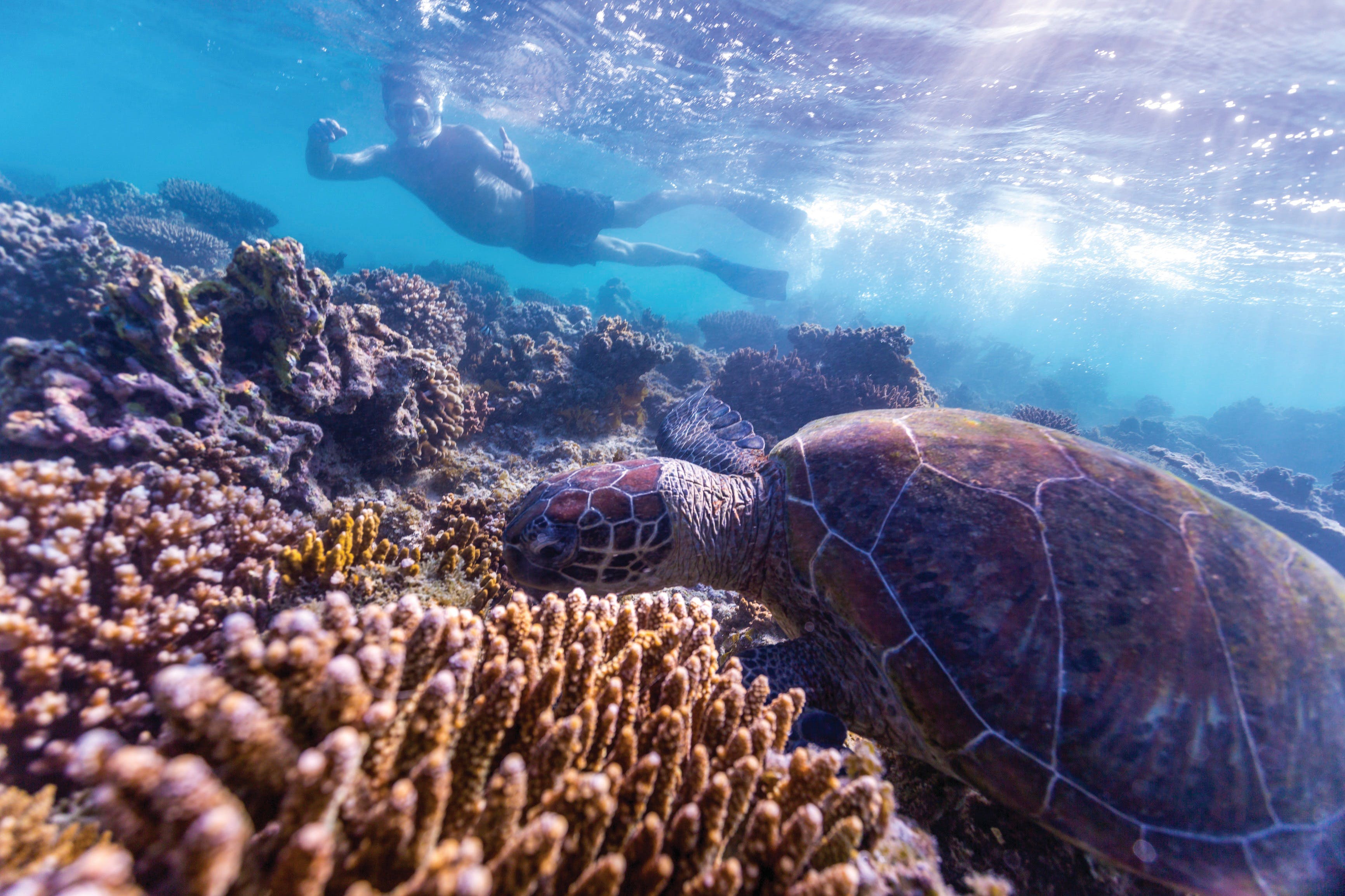 Learmonth Airport | Australia's Coral Coast