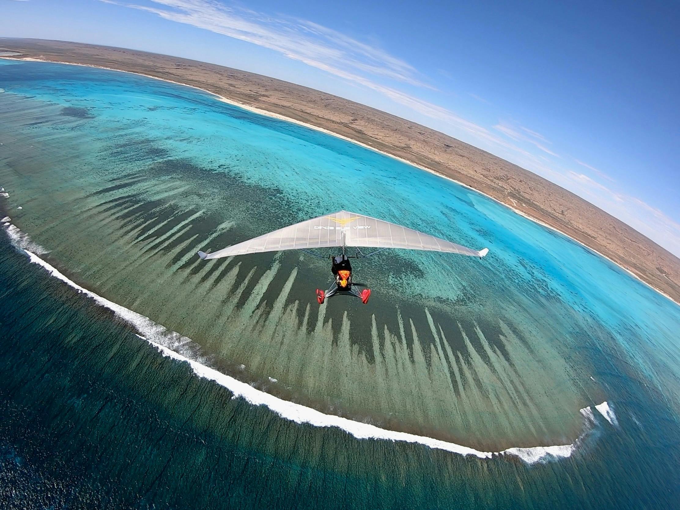 Ningaloo Reef - Things to See & Do - Australia's Coral Coast