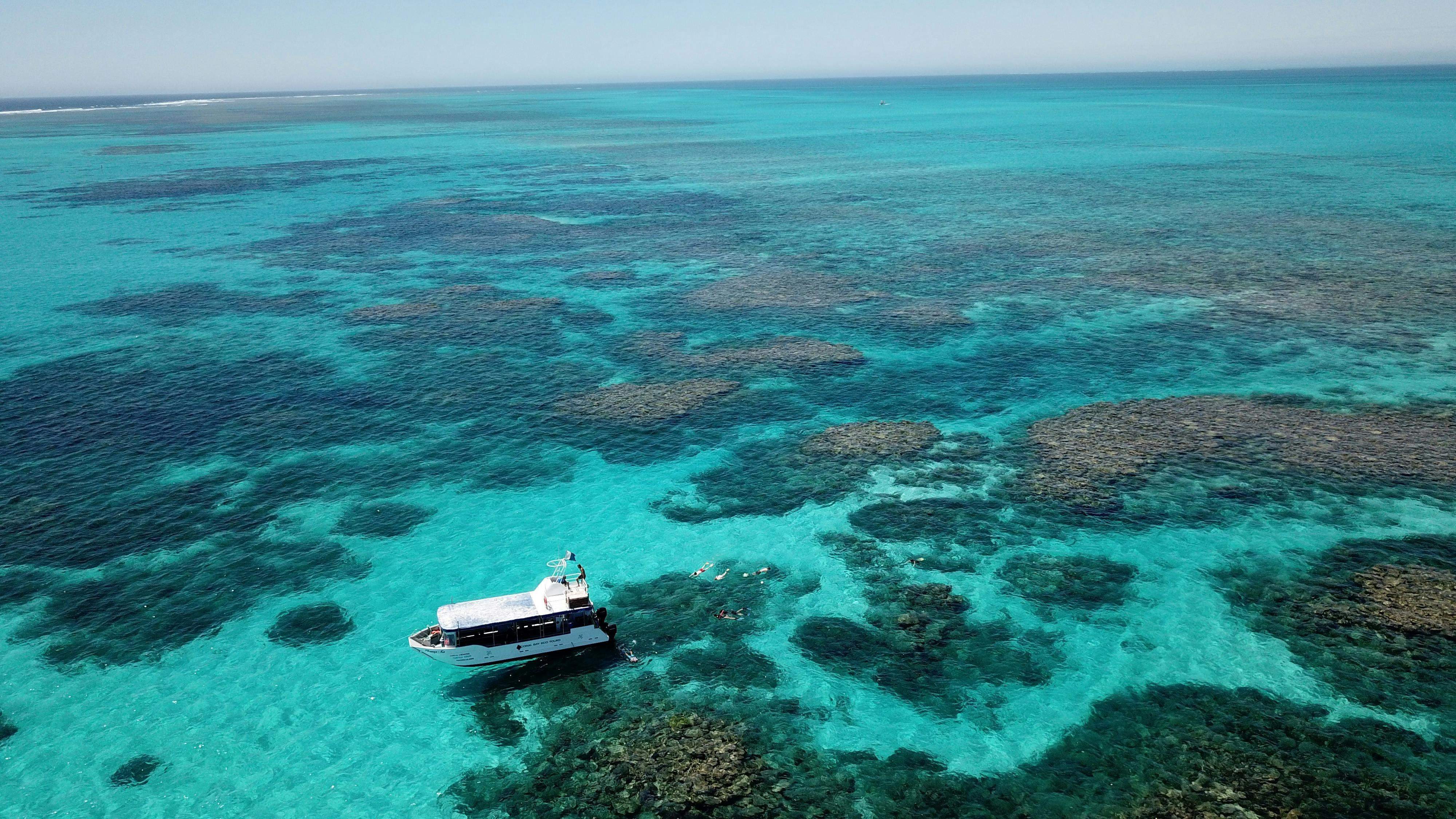 Coral Bay Ecotours | Australia's Coral Coast